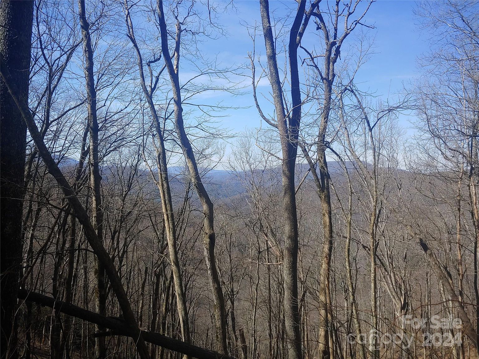 38 Barn Cove Rd, Clyde, NC 28721 | MLS #4116961 | Zillow 38 Barn Cove Rd, Clyde, NC 28721 | MLS #4116961 | Zillow