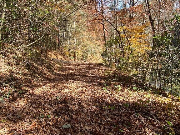 203 Stott Ln, Gatlinburg, TN 37738 | MLS #1283732 | Zillow