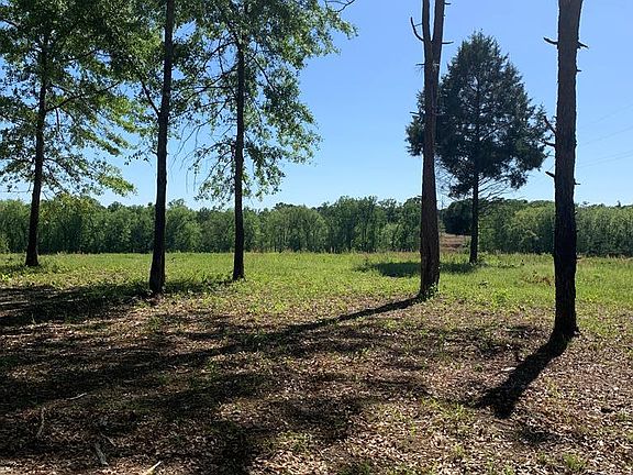 455 County Road 2213, Goshen, AL 36035 | MLS #25932 | Zillow