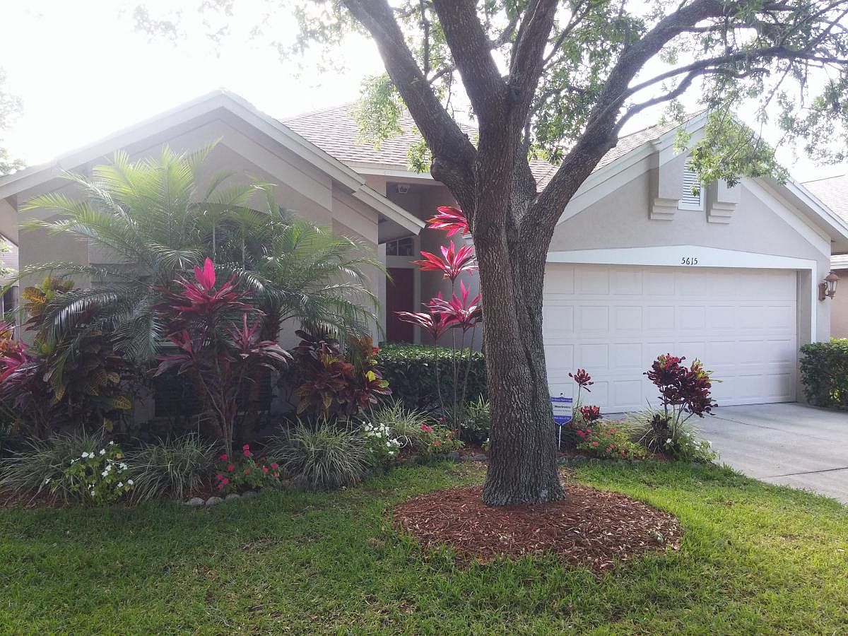 5615 Paddock Trail Dr, Tampa, FL 33624 | Zillow