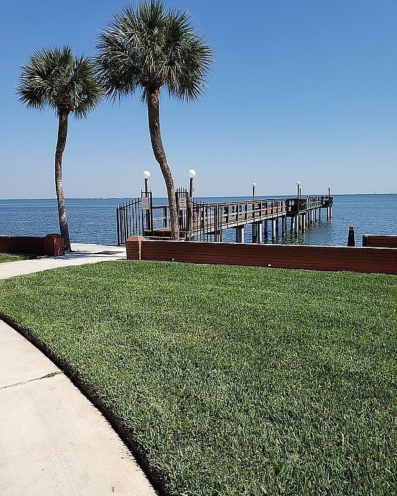 650 Pinellas Point Dr S APT 218, Saint Petersburg, FL 33705 | Zillow