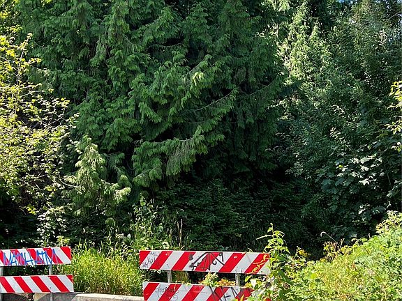 370 XX W Valley Highway S, Auburn, WA 98001 | MLS #2269606 | Zillow