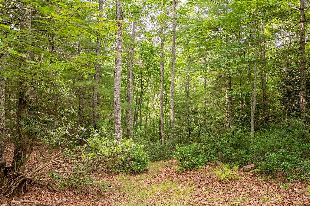 Forest Spur Ln, Bland, VA 24315 | Zillow