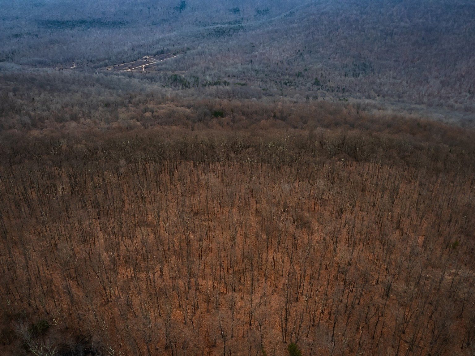 16 Higgenbotham Tpke, Altamont, TN 37301 | MLS #2767755 | Zillow