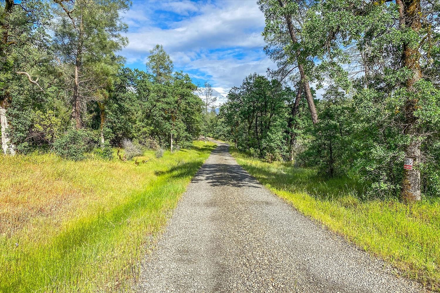 Donkey Mine Rd, Oak Run, CA 96069 | MLS #225061905 | Zillow