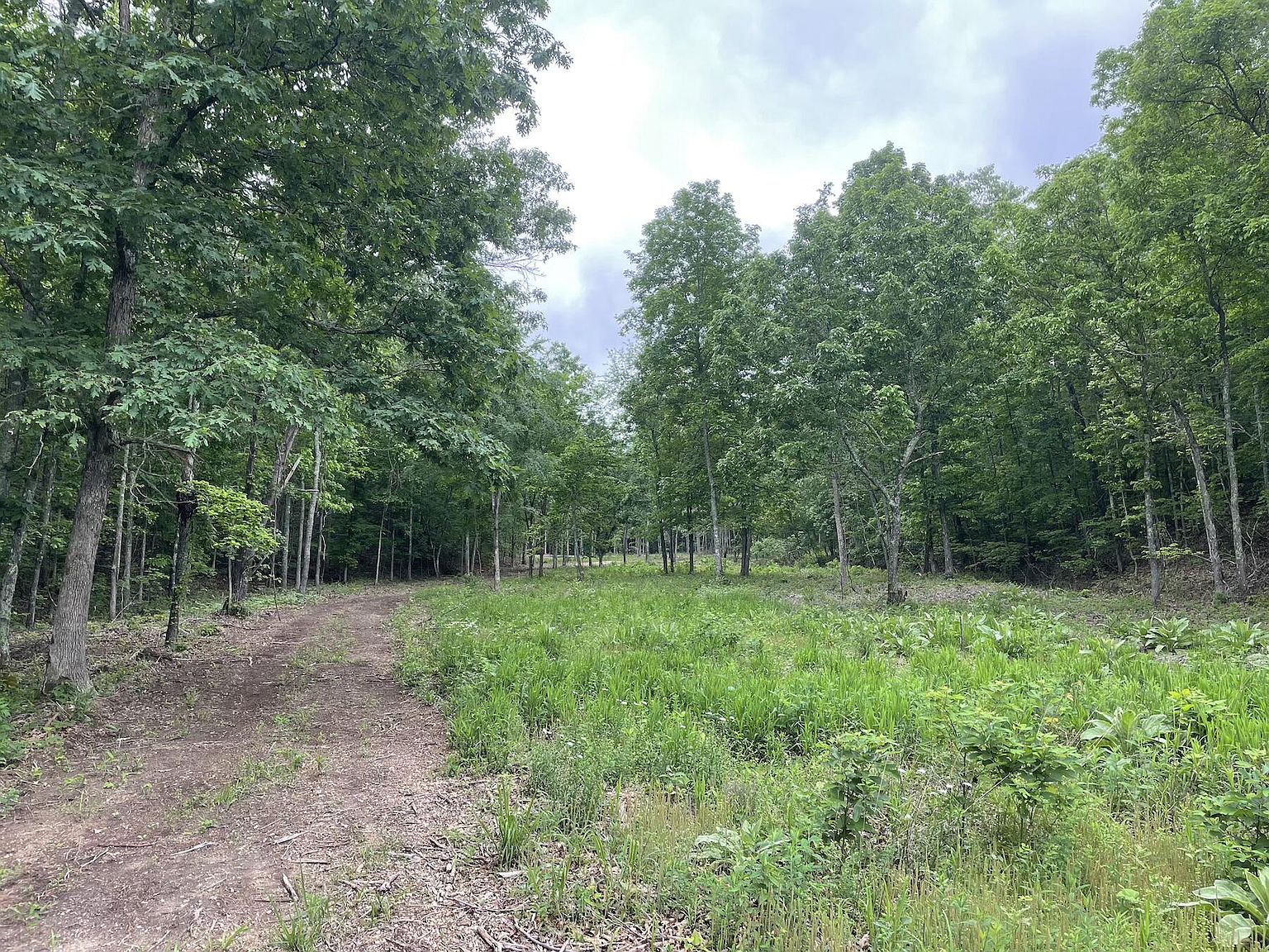 000 County Road 513a, Winona, MO 65588 | MLS #60268669 | Zillow