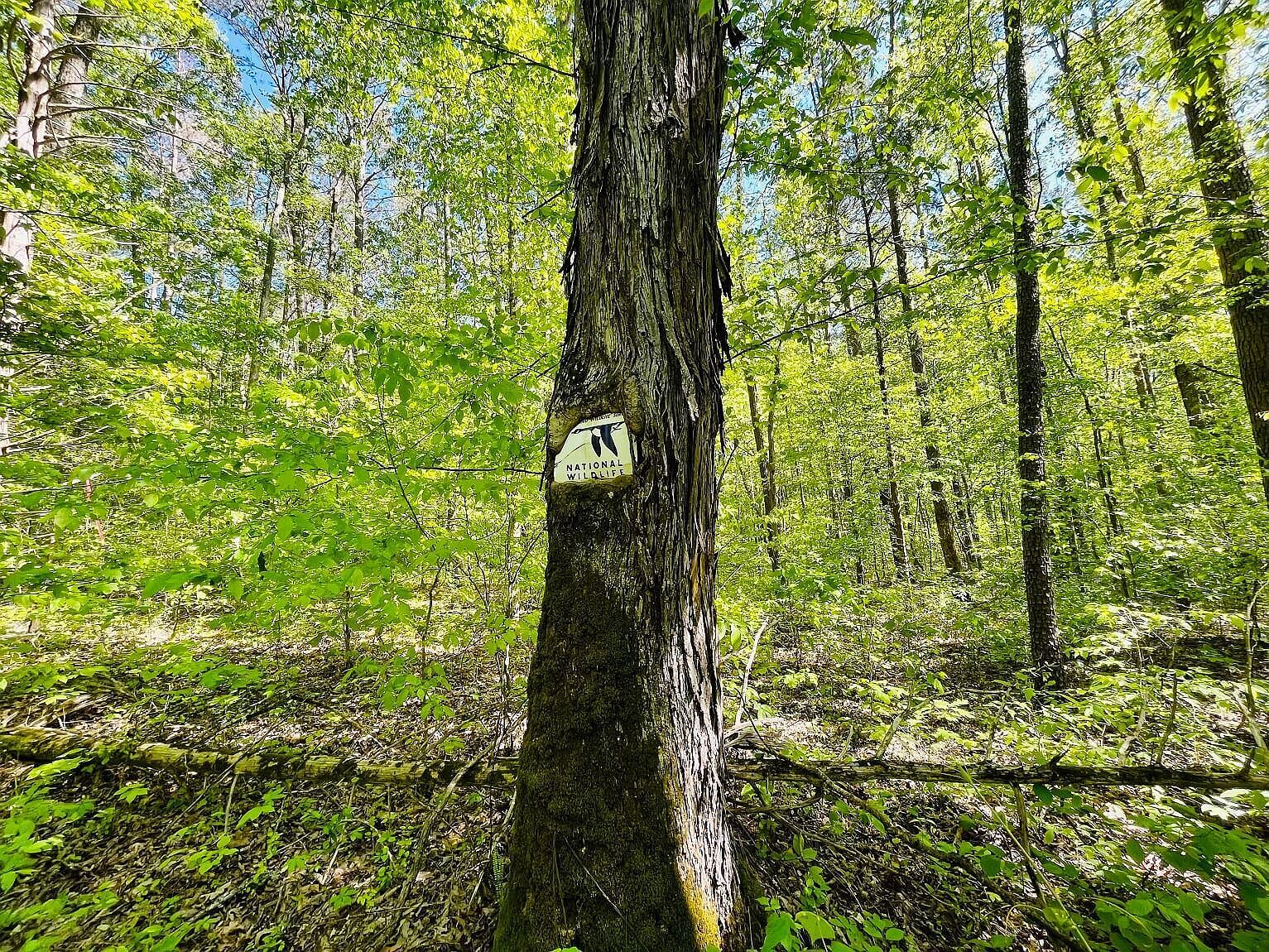 N Morgan Creek Rd, Holladay, TN 38341 | MLS #23-1776 | Zillow