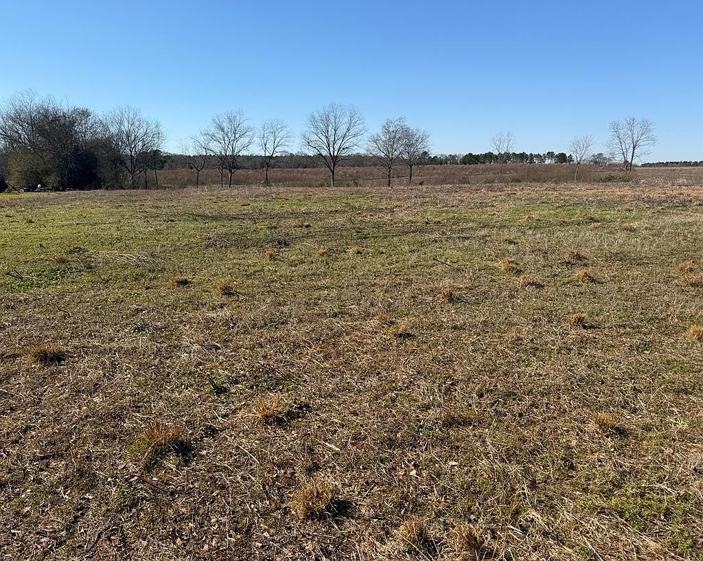 LOT 1 Culver Rd, Newville, AL 36353 | MLS #209855 | Zillow