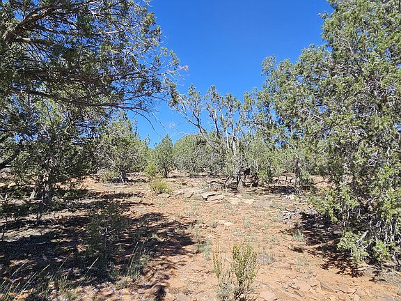 884 Westwood Ranches, Williams, AZ 86046 | MLS #1067517 | Zillow