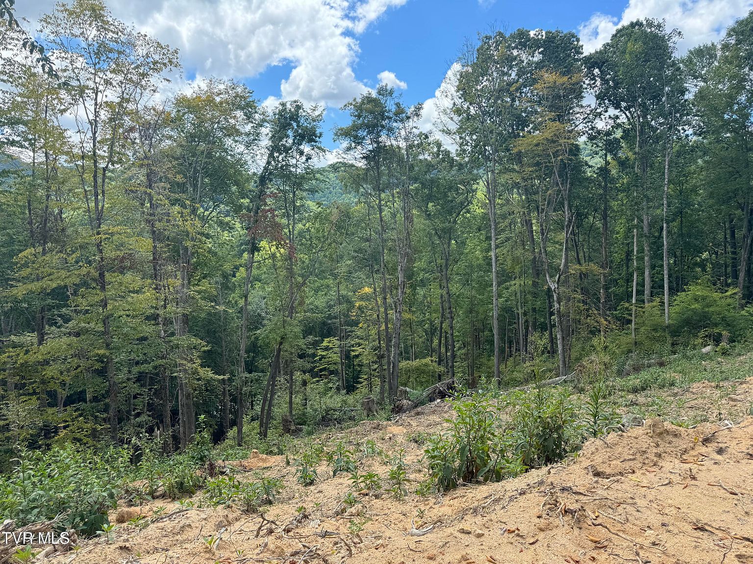 221 Shell Creek Rd, Roan Mountain, TN 37687 | MLS #9971609 | Zillow