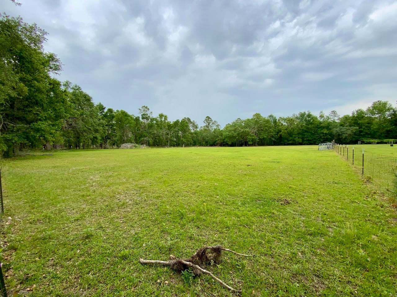 Vacant Ne Bellville Hwy, Pinetta, FL 32350 | MLS #387090 | Zillow