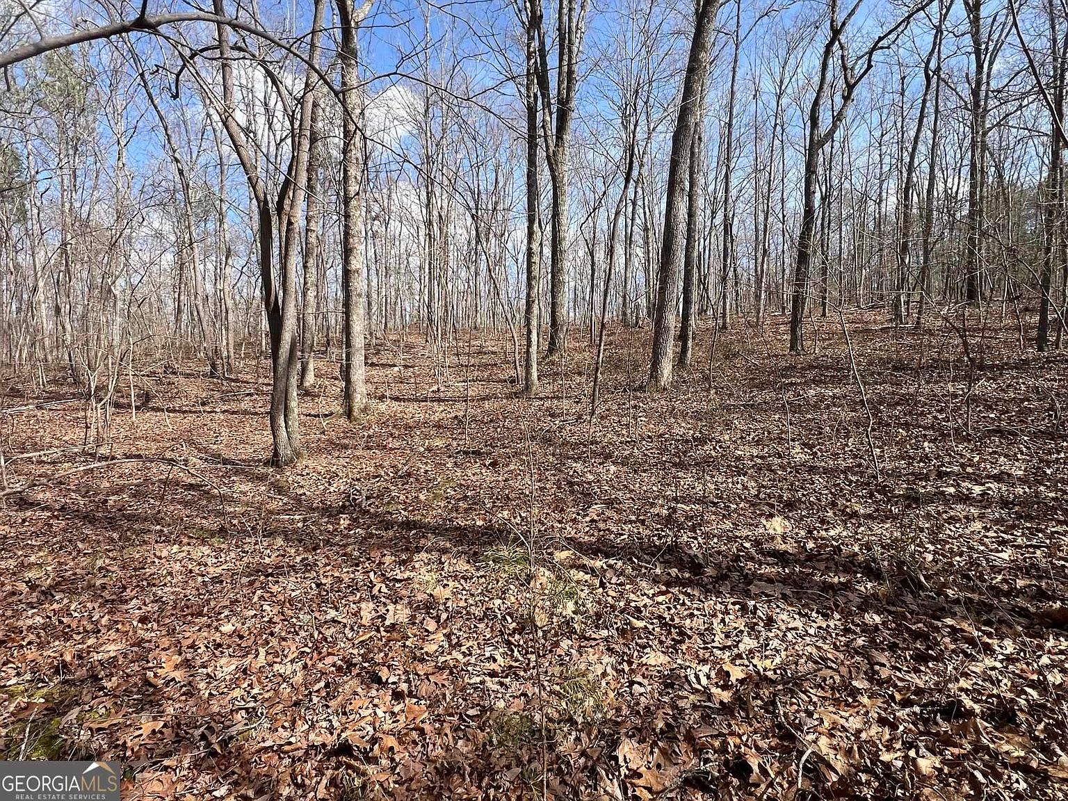 LOT 134 Castleman Rd, Carrollton, GA 30116 | Zillow