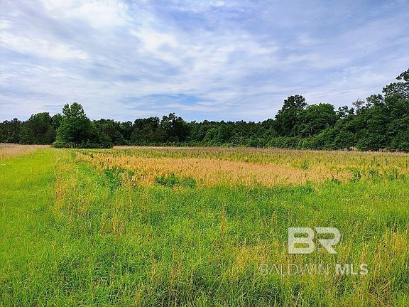 0 County Road 69, Coffeeville, AL 36524 | MLS #364403 | Zillow
