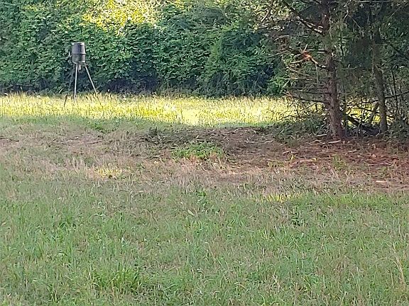 0 State Highway 167, Brundidge, AL 36010 | MLS #548965 | Zillow