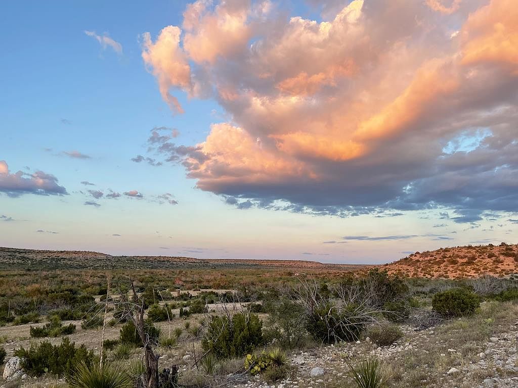 1240 Cactus Rose Ln, Ozona, TX 76943 | MLS #50074865 | Zillow