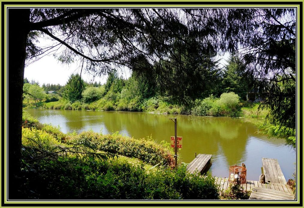 167 Duck Lake Dr NE, Ocean Shores, WA 98569 | Zillow