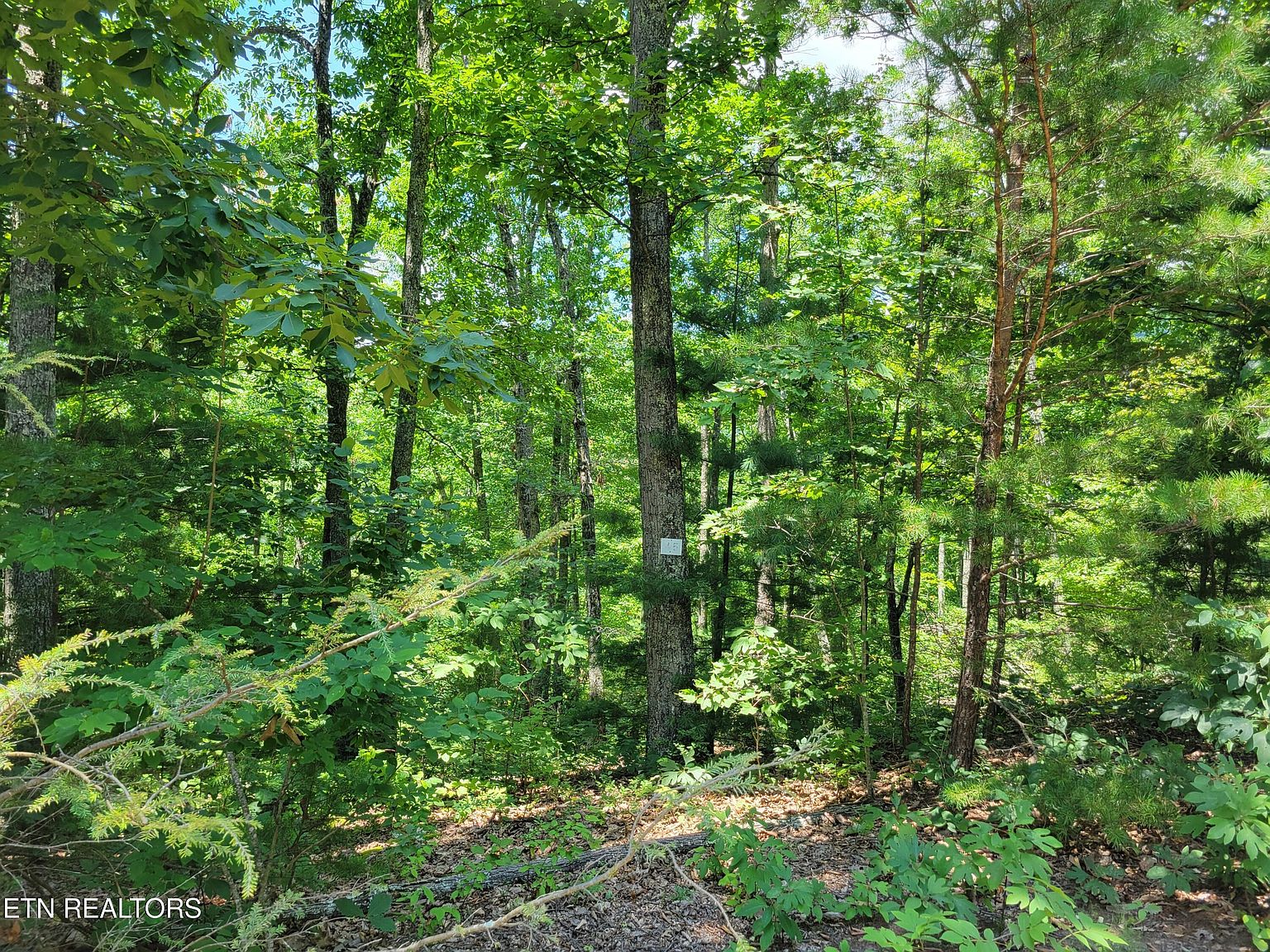LOT 45 Hickory Tree St, Sevierville, TN 37876 | Zillow