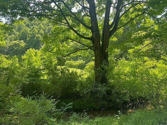 Grass Lick Run, Montrose, WV 26283 | MLS #10154860 | Zillow