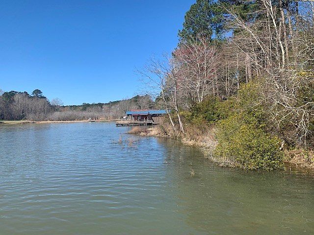 144 Lake Eddins 1638, Pachuta, MS 39347 | Zillow