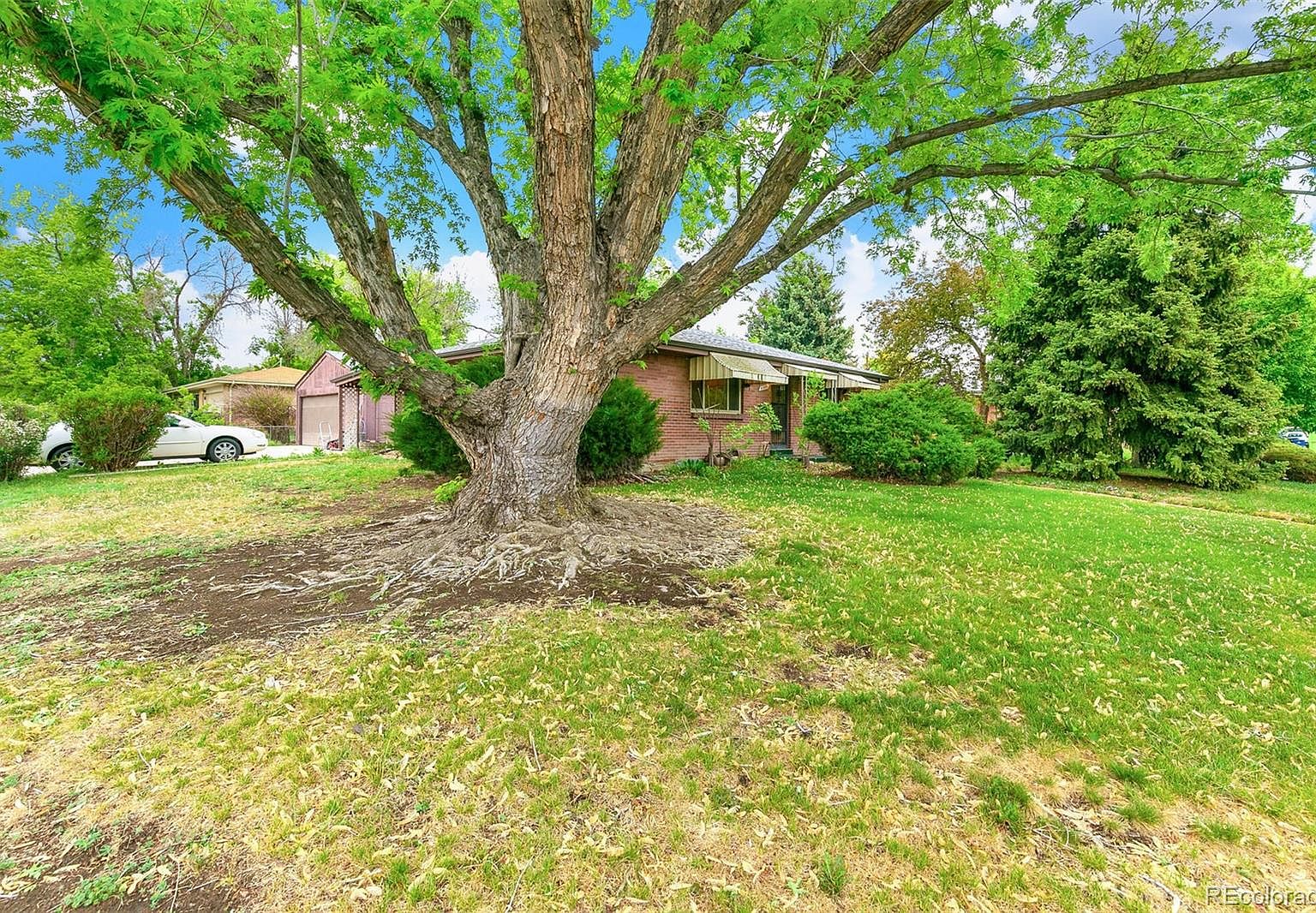 6209 Ingalls Street, Arvada, CO 80003 | Zillow