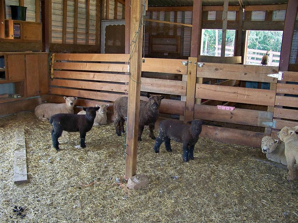 2396 Ben Yount Ln, Vale, NC 28168 | Zillow