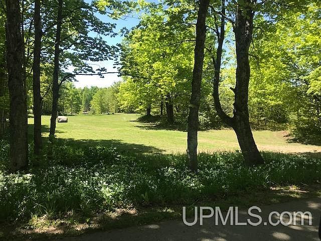 12375 E Olson Rd, Shingleton, MI 49884 | Zillow