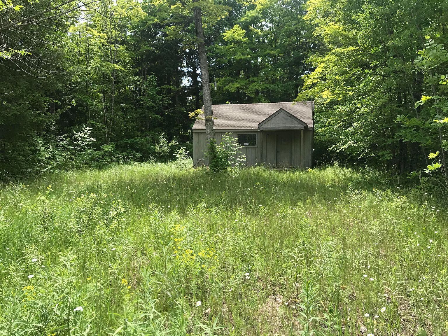 4796 N Pontchartrain Shores Rd, Hessel, MI 49745 | Zillow