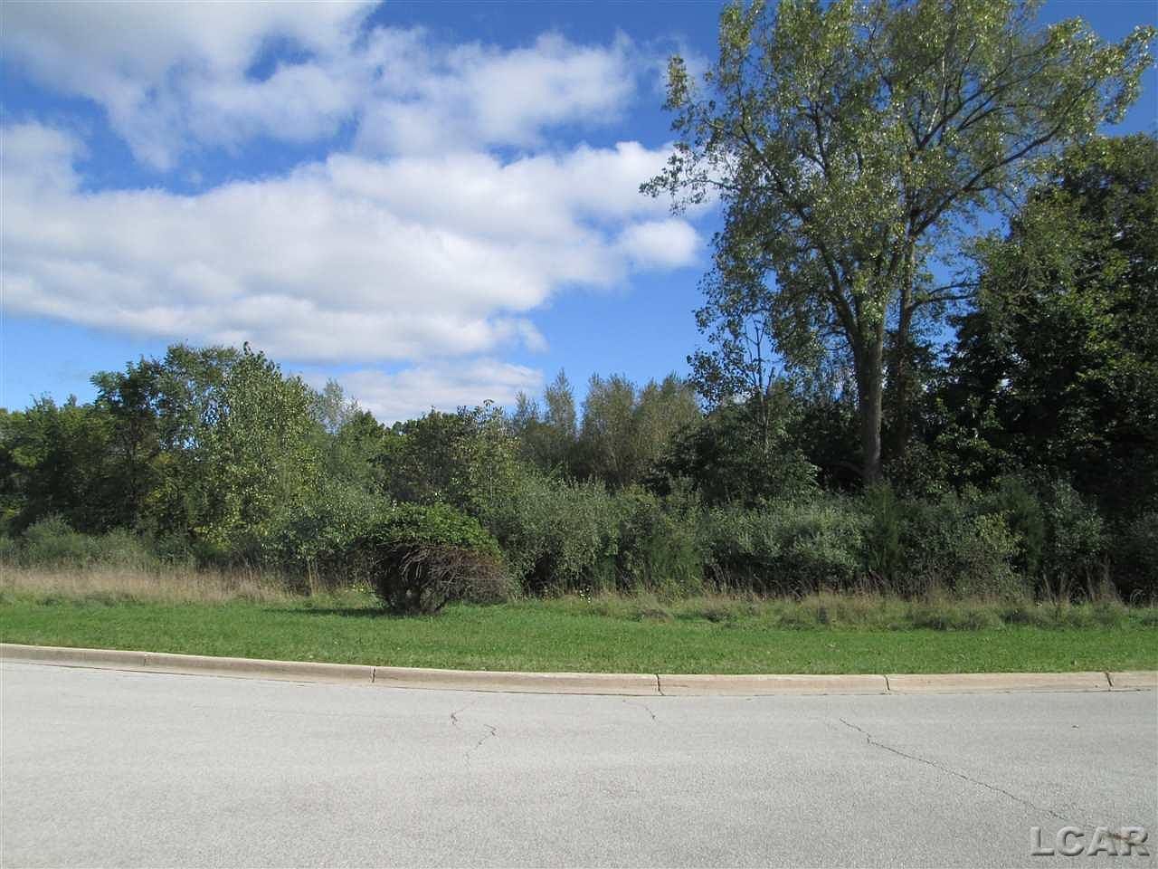 1009 Saw Mill Ct, Adrian, MI 49221 | MLS #31396769 | Zillow