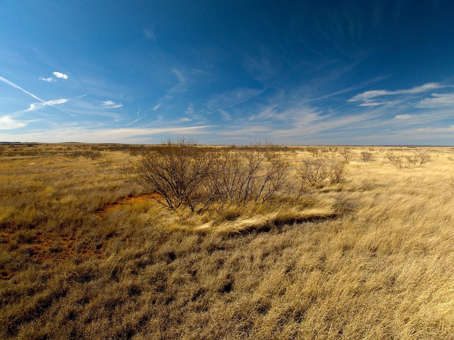 2 County Road 109, Flomot, TX 79234 | MLS #202316127 | Zillow