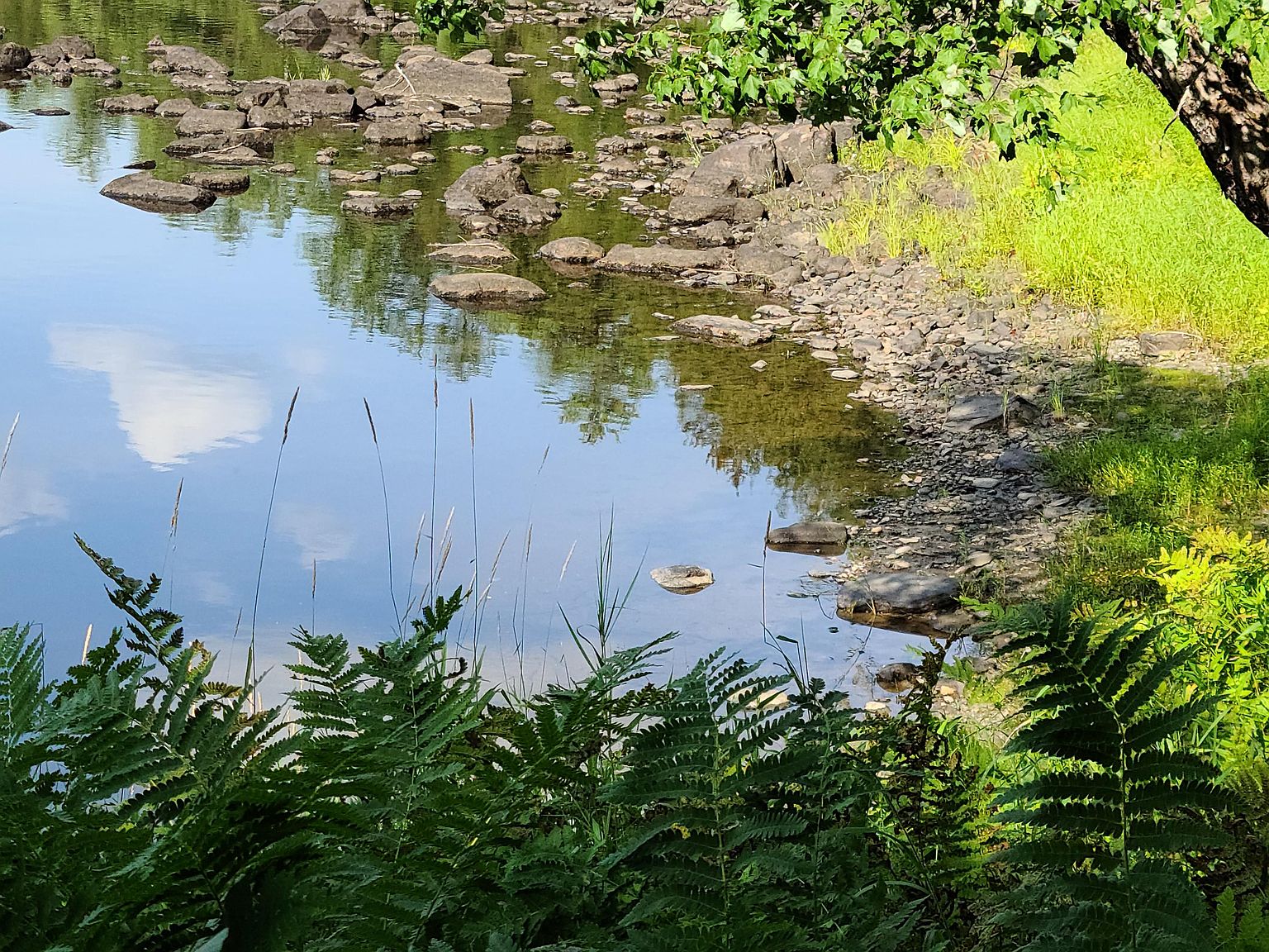 8 Bobby Way, Milo, ME 04463 | Zillow