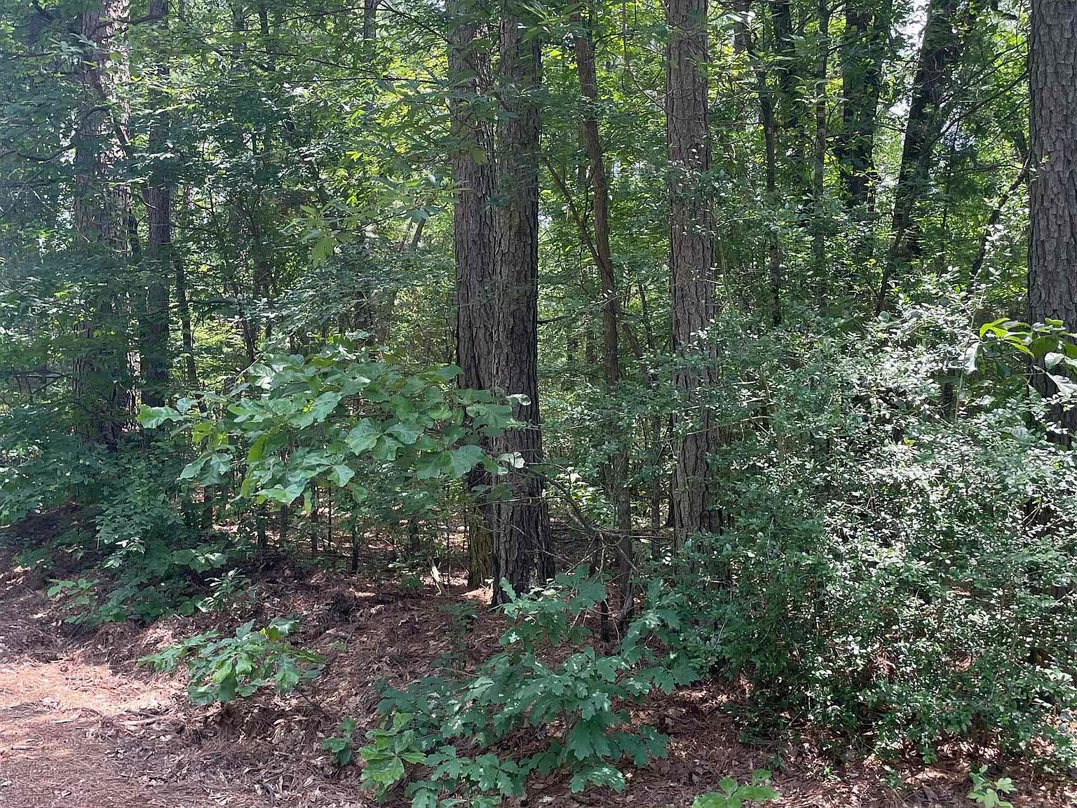 Geranium Rd, Ore City, TX 75683 | MLS #25009133 | Zillow