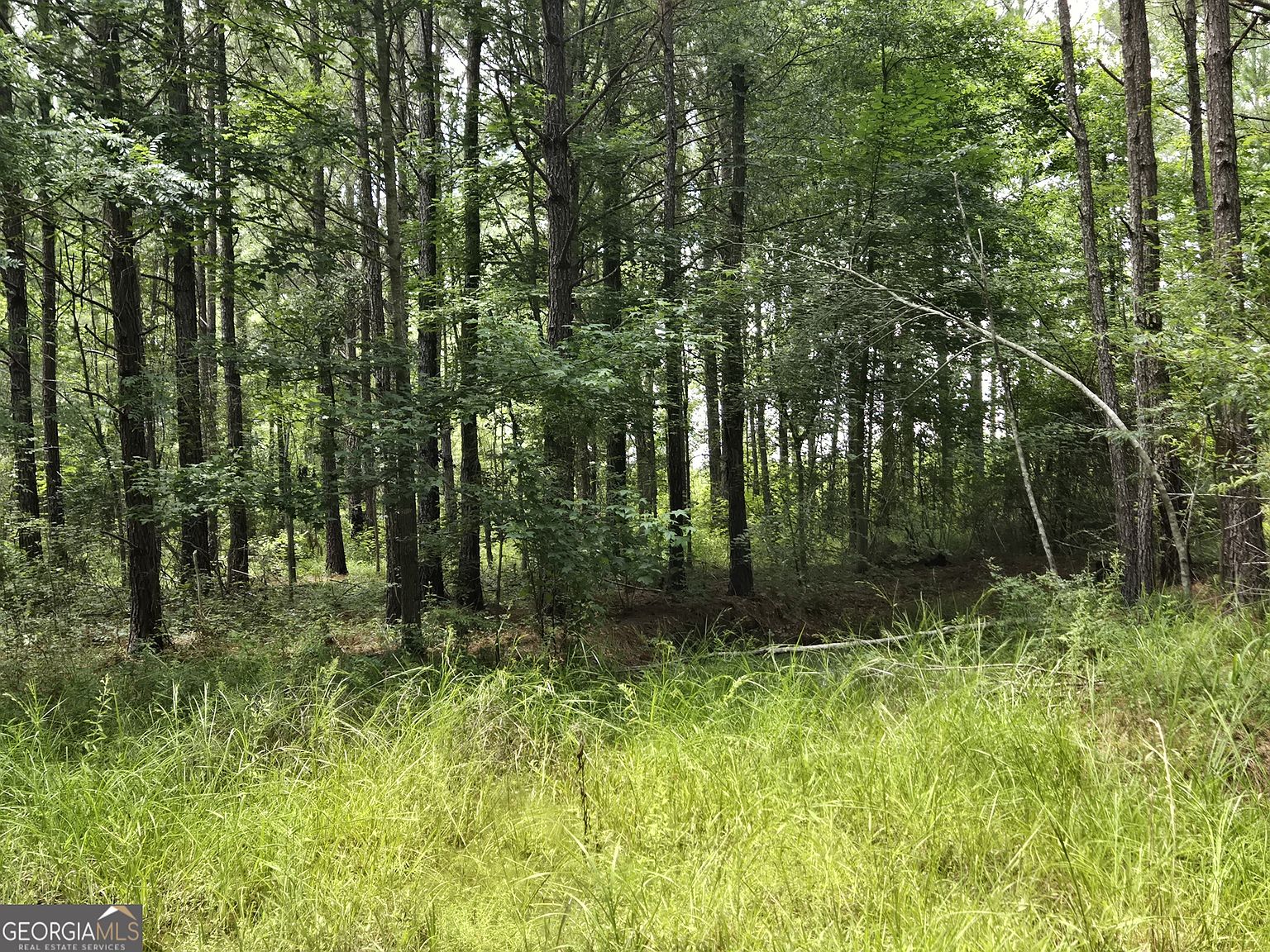 0 State Highway 199 S, Rockledge, GA 30454 | MLS #10564639 | Zillow