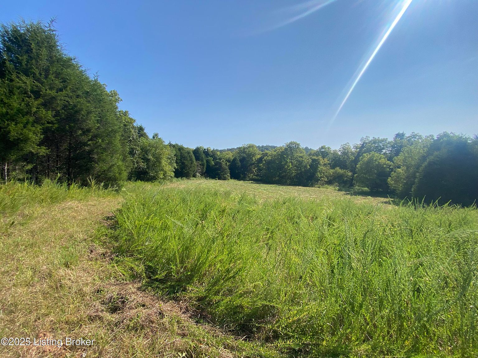 2376 E Highway 86, Harned, KY 40144 | MLS #1680414 | Zillow