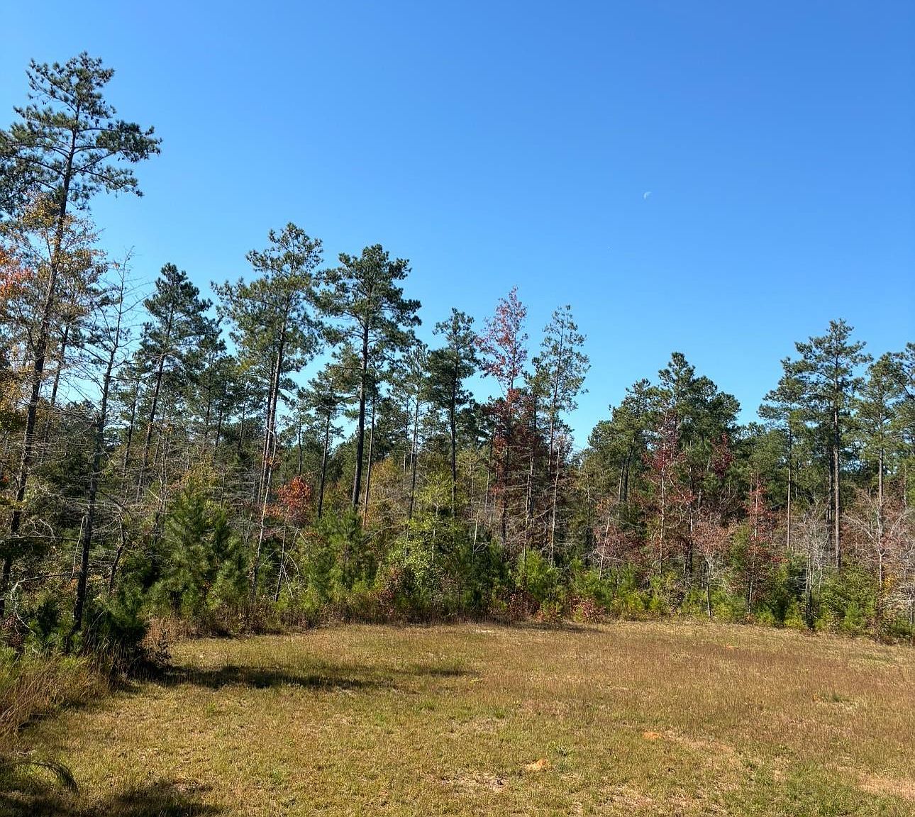 203 Legend Dr, Saluda, SC 29138 | MLS #595710 | Zillow