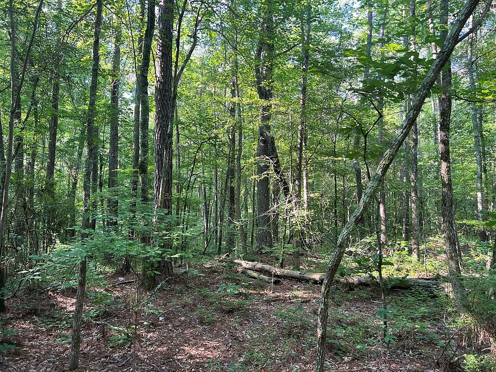 0 Mac Garner Rd, Temple, GA 30179 | MLS #416980 | Zillow