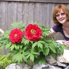 Elizabeth Smith - Real Estate Agent in Bay SHore, NY - Reviews | Zillow