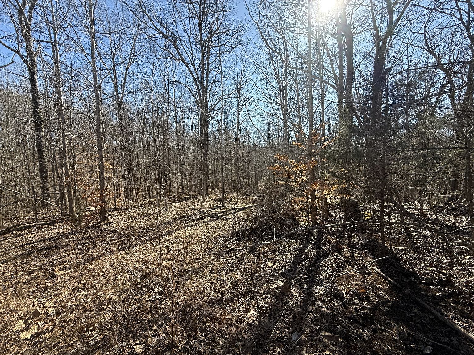 26 Backwoods Ests, Indian Mound, TN 37079 | MLS #2796729 | Zillow