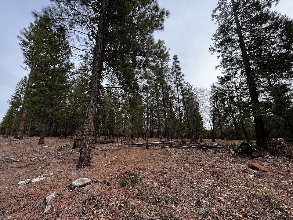 Whitmore Road W Power, Whitmore, CA 96096 | Zillow