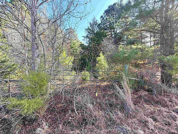 Fm 2888, Marietta, TX 75566 | MLS #25017996 | Zillow