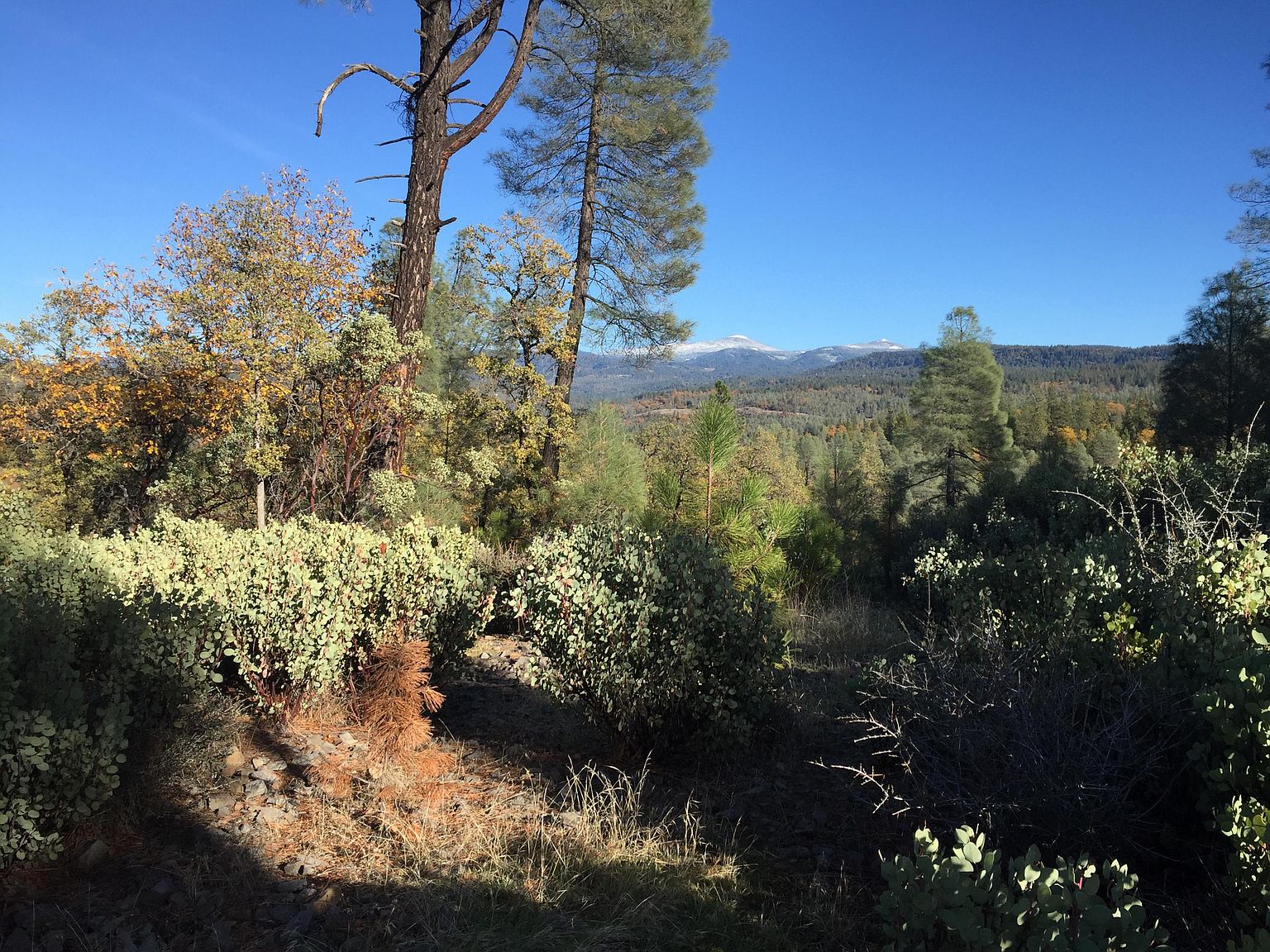 Oak Run Rd, Oak Run, CA 96069 | Zillow