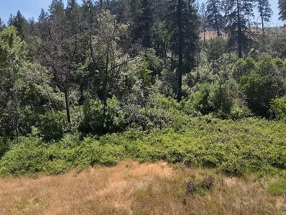 2864 Porter Creek Rd, Santa Rosa, CA 95404 | MLS #41063585 | Zillow