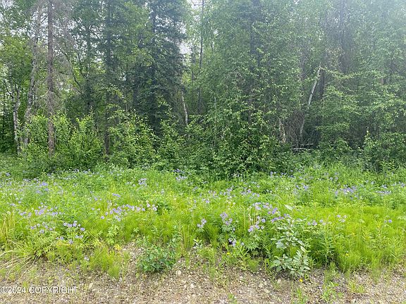 8117 N New Hope Farm Rd, Wasilla, AK 99654 | Zillow