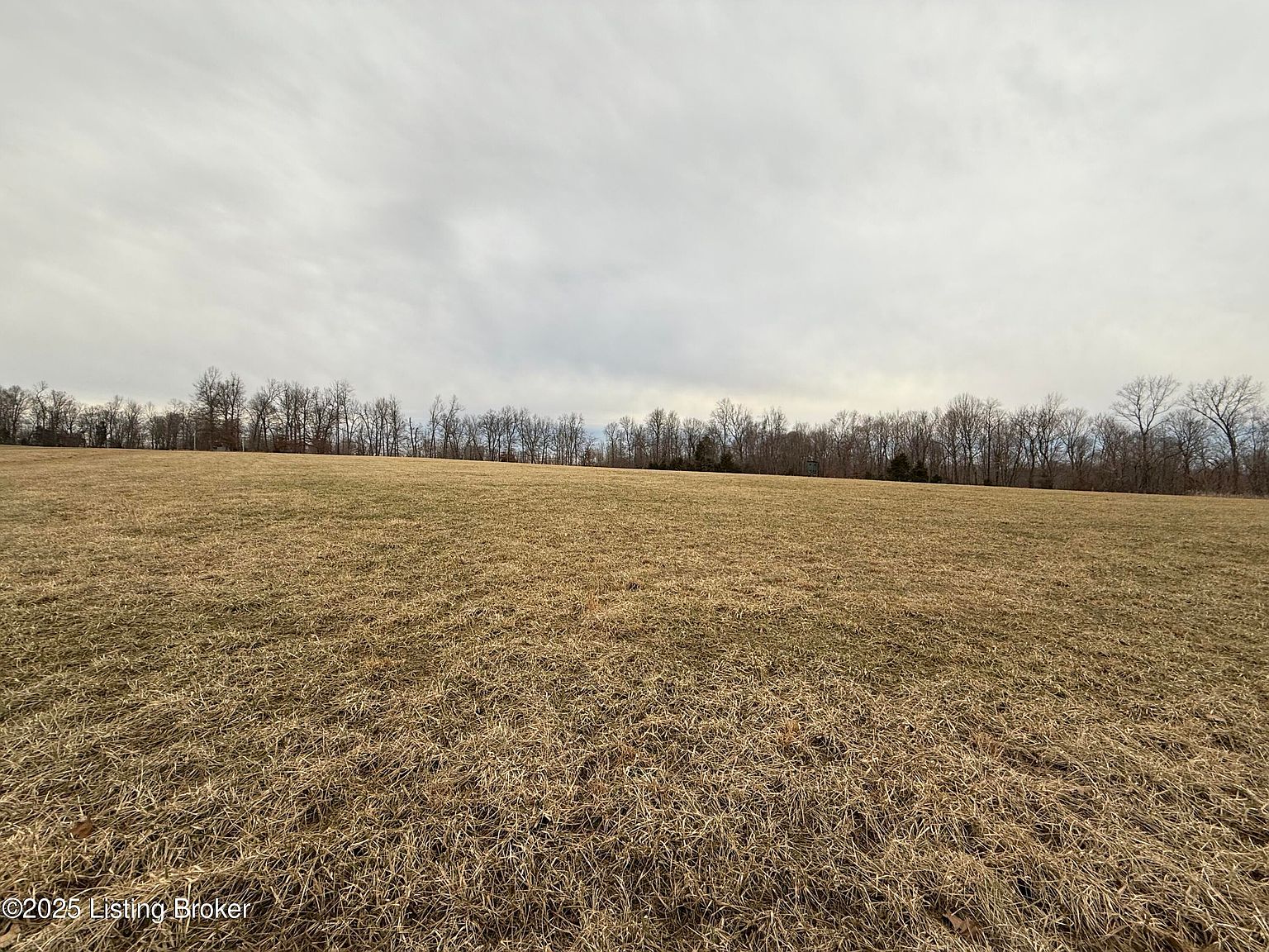 770 Shiloh Ln, Harned, KY 40144 | MLS #1678329 | Zillow