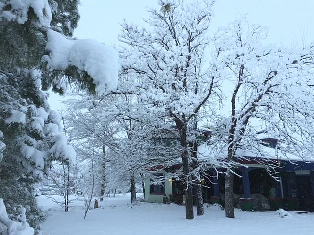 7017 McNutt Rd, Anthony, NM 88021 | Zillow