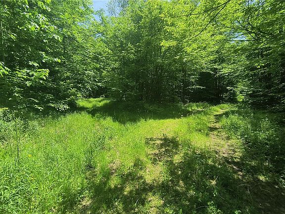 216 Claude Neer Road, Fremont Center, NY 12736 | MLS #H6305734 | Zillow