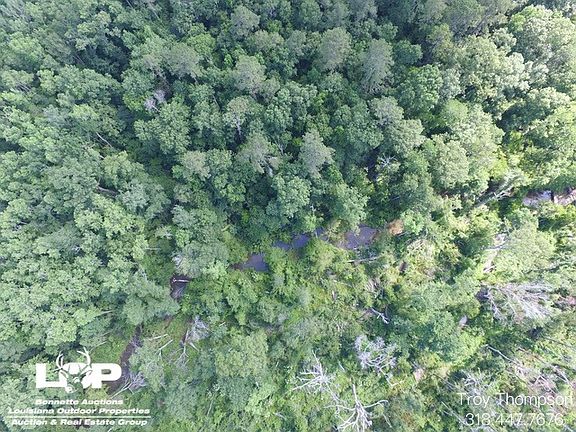 0 Castor Plunge Rd, Woodworth, LA 71485 | MLS #11084027 | Zillow