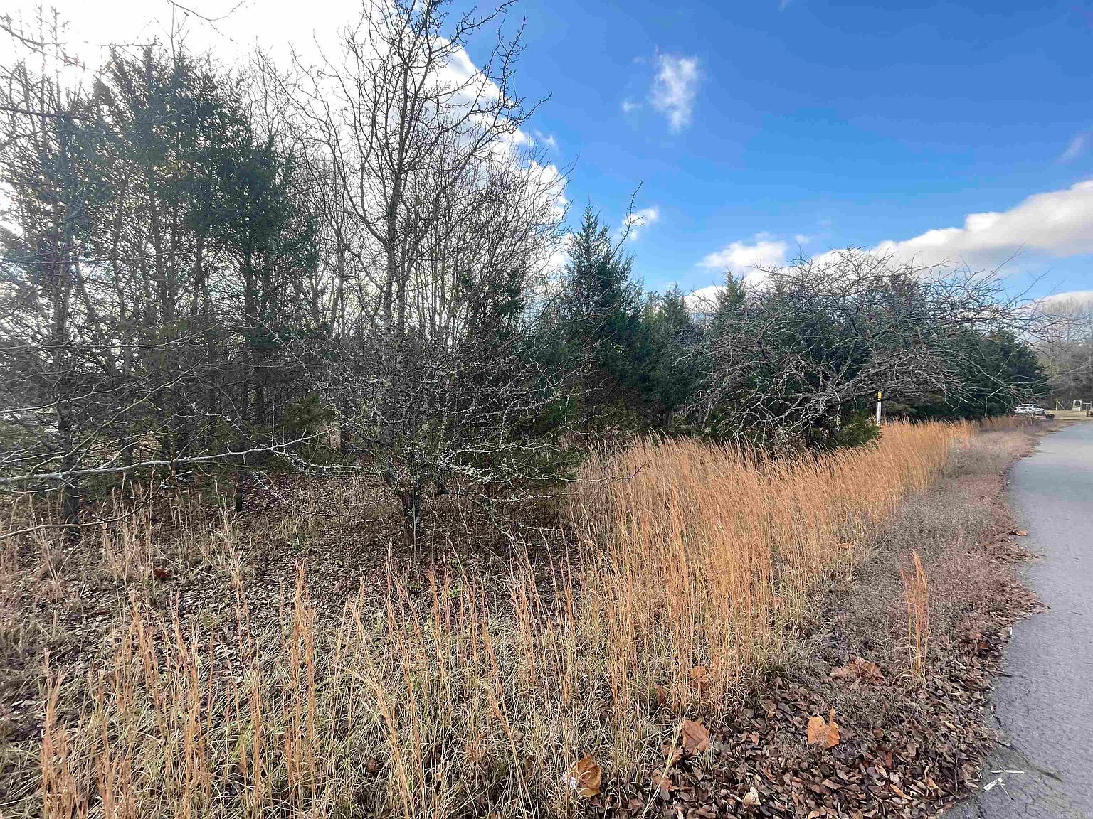 0 Cedar Ln, Menifee, AR 72107 | MLS #25000037 | Zillow