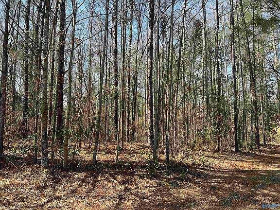 1 Western Hills Dr E, Gadsden, AL 35907 | MLS #21855281 | Zillow