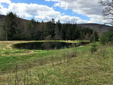 L11114 Sam Lape Rd Summit NY | Zillow