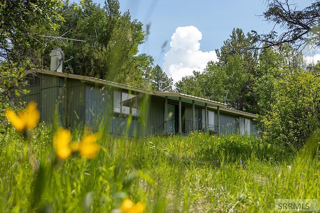 242 Toms Rd, Wayan, ID 83285 | MLS #2155414 | Zillow